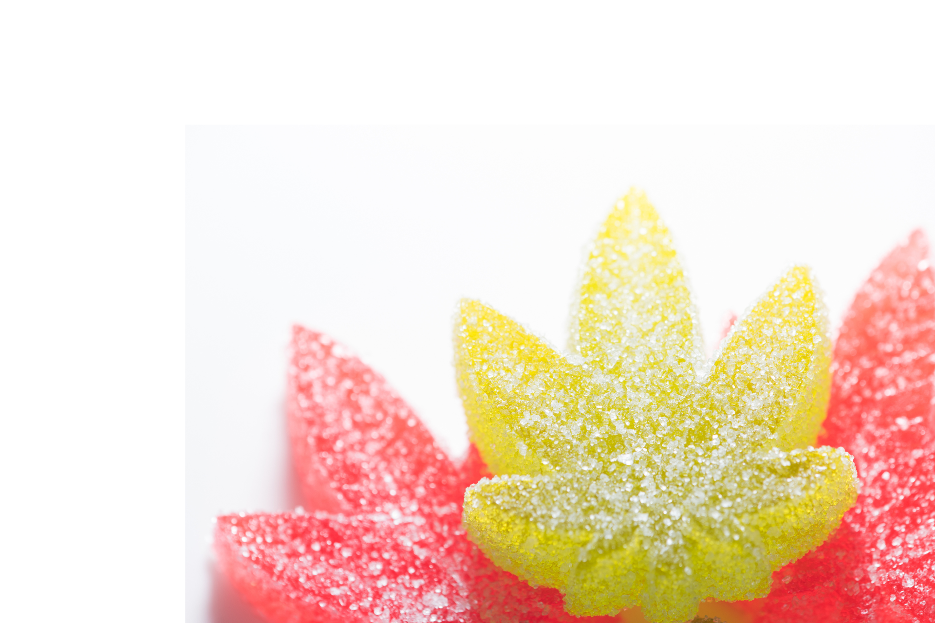 The Best Live Resin Gummies in Michigan: Oleans Top 6 Picks!