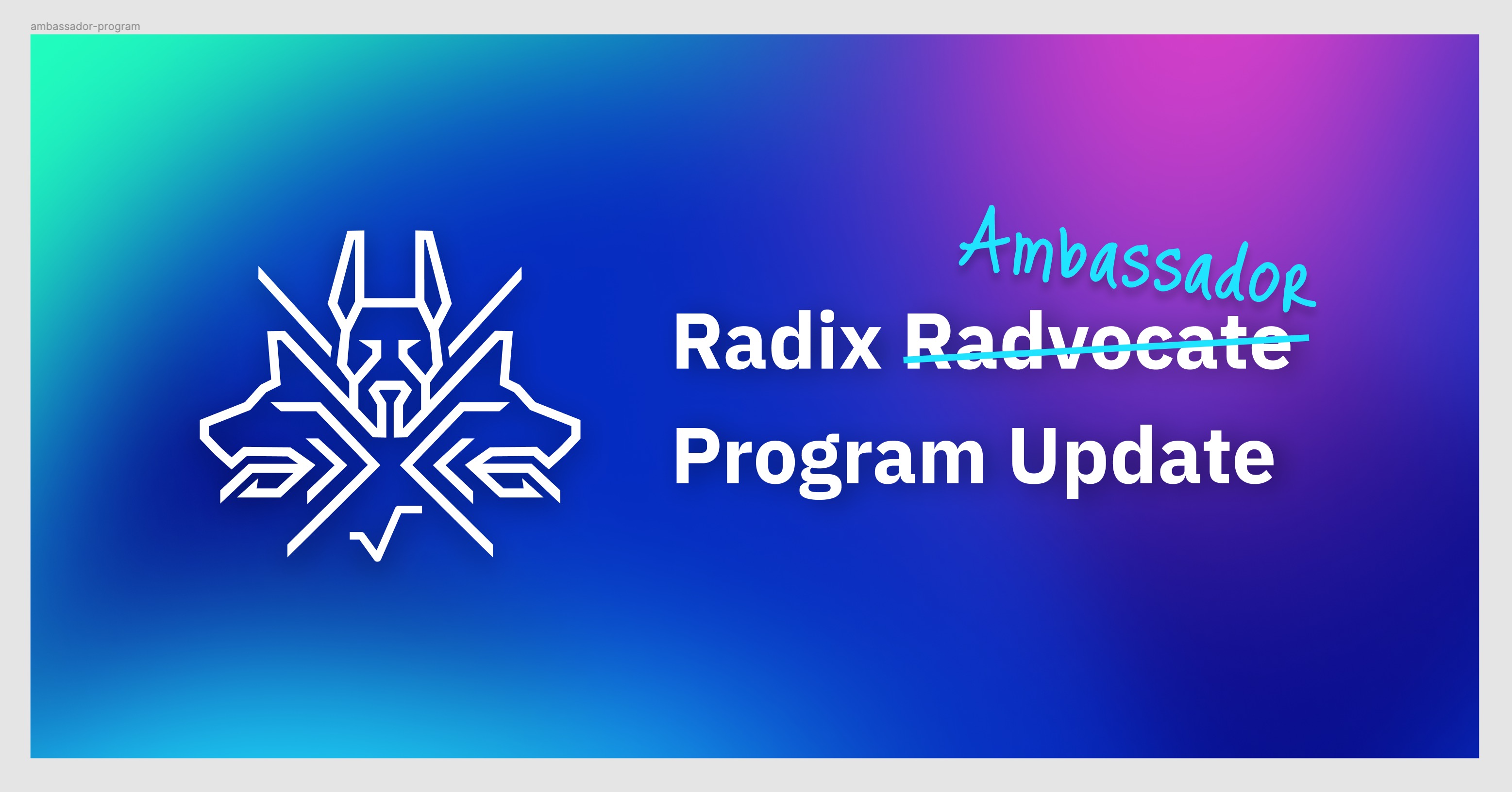 Radix Ambassador Program Update | The Radix Blog | Radix DLT