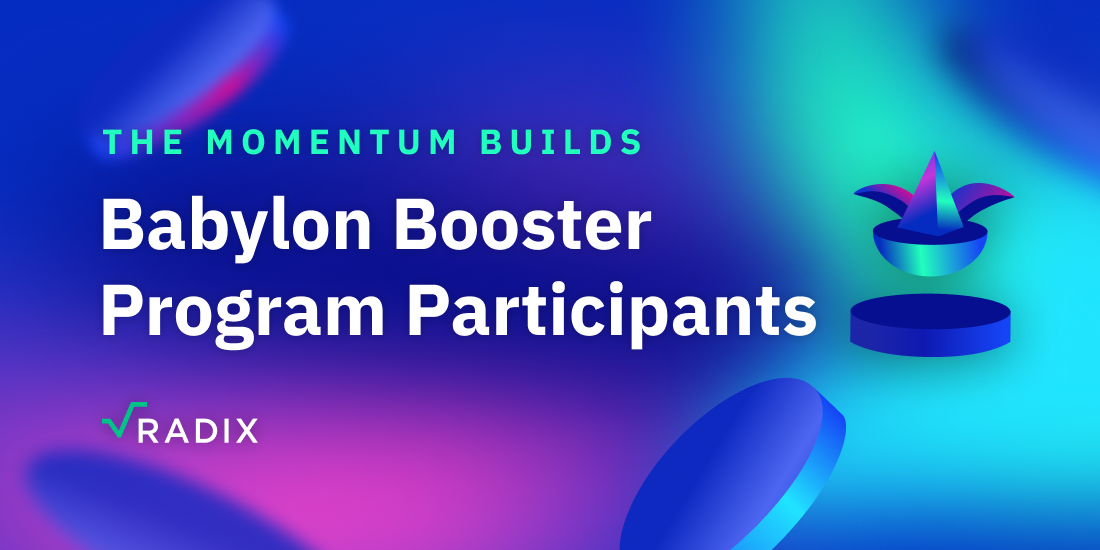 Booster Program Participants: The Momentum Builds | The Radix Blog ...