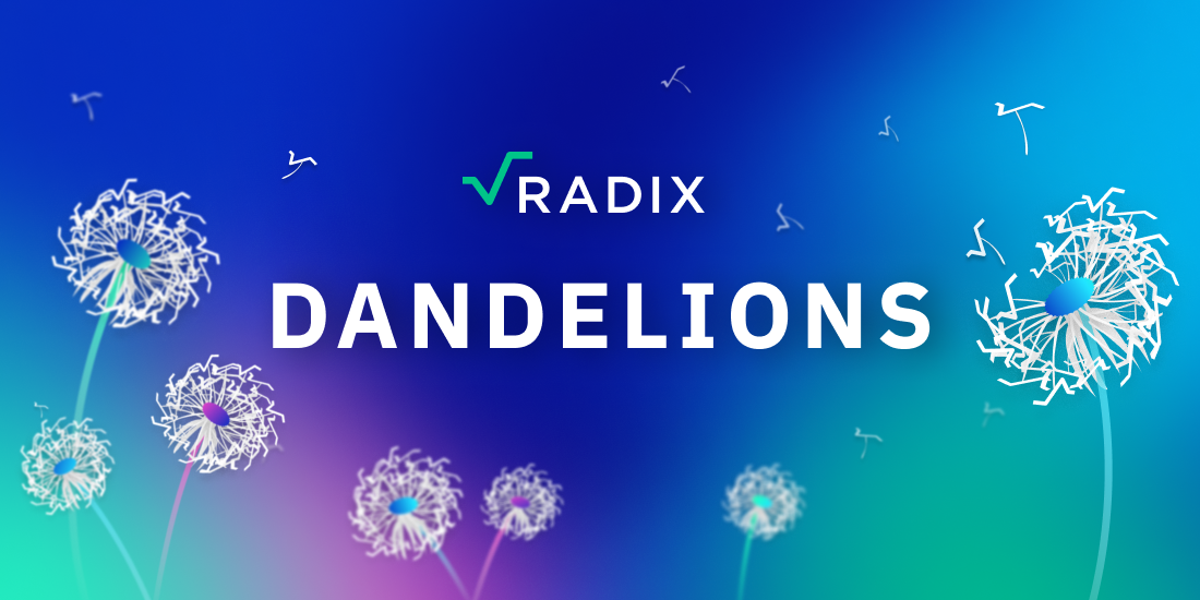 Dandelions Program Update | The Radix Blog | Radix DLT