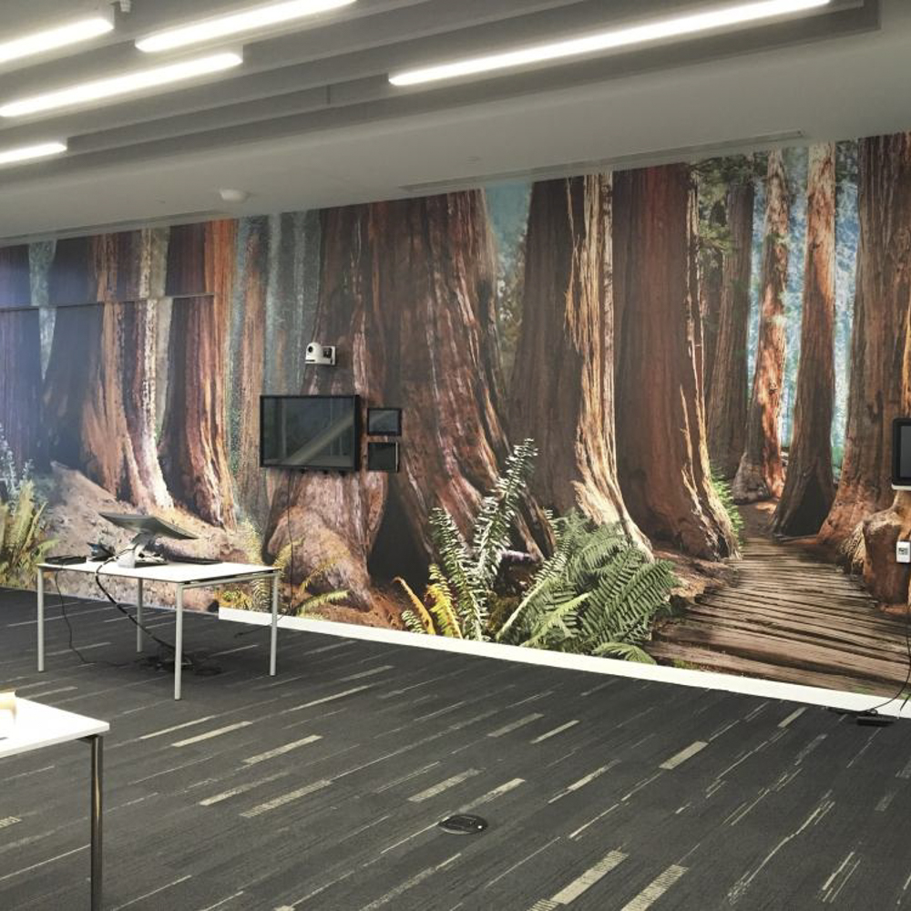 Vinyl Wall Graphics Printing | Printworks