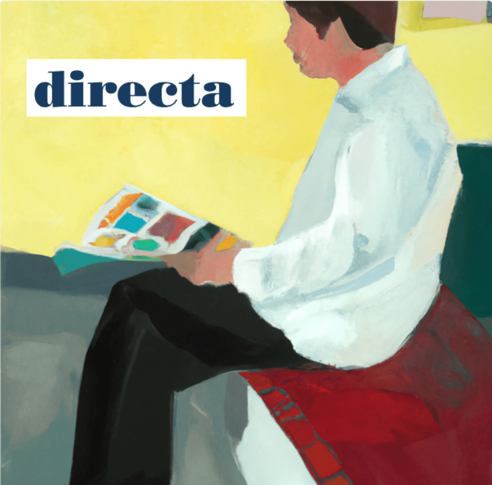 Directa review: read this before you start