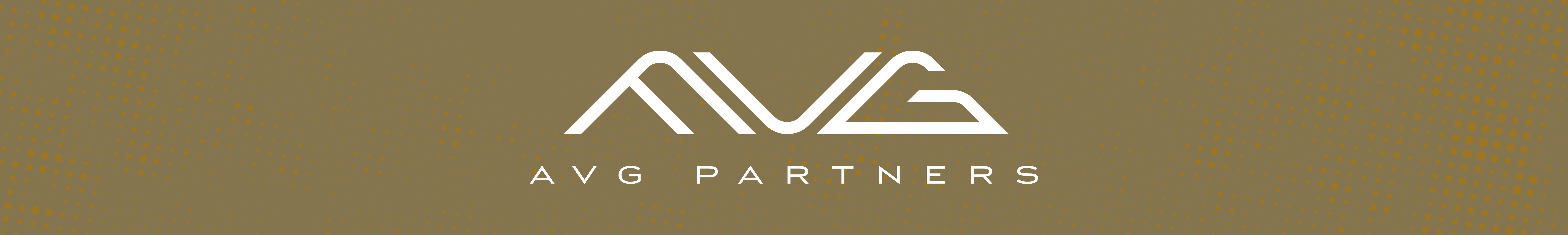 AVG Partners, LLP