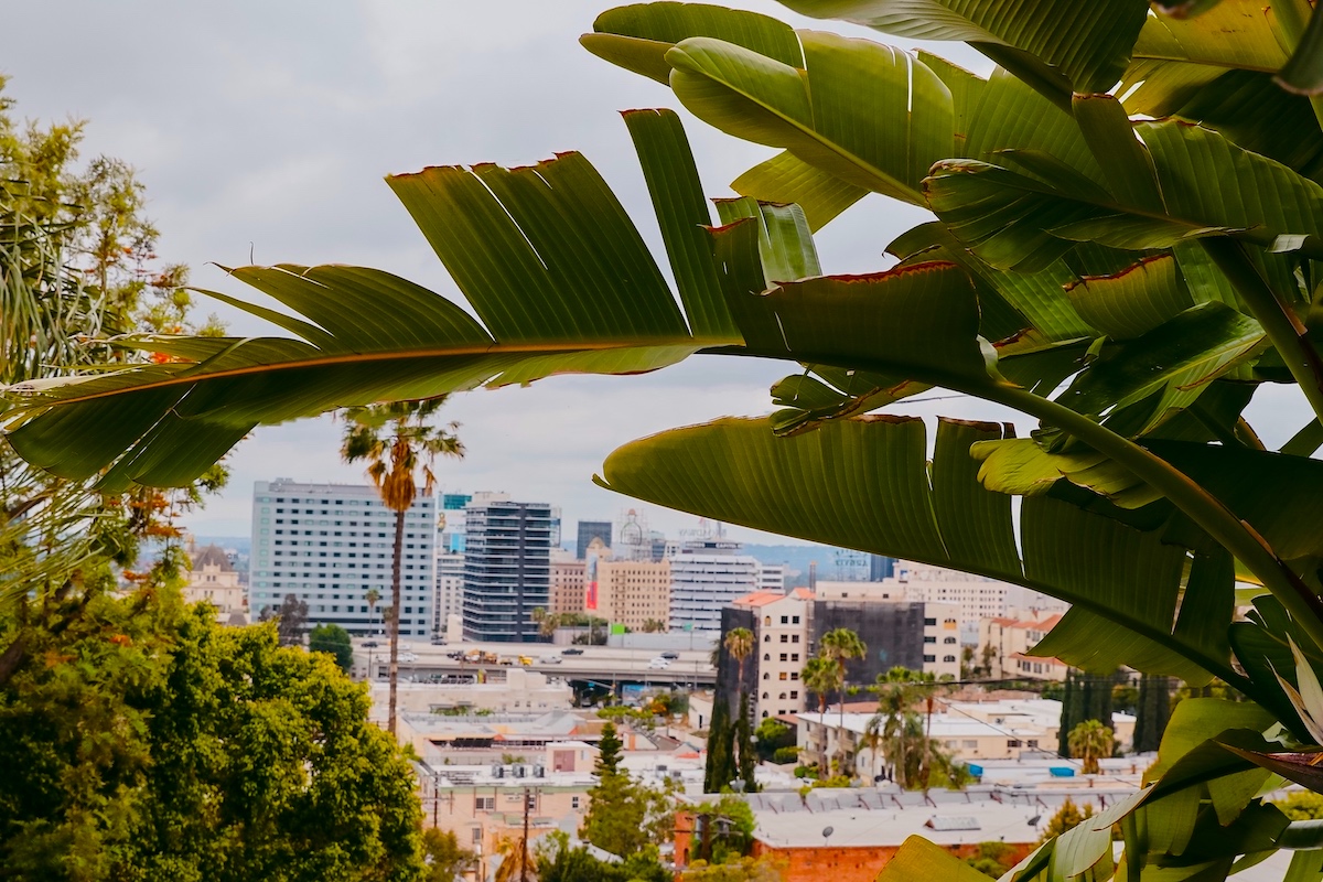 Recover Now in the Hollywood Hills