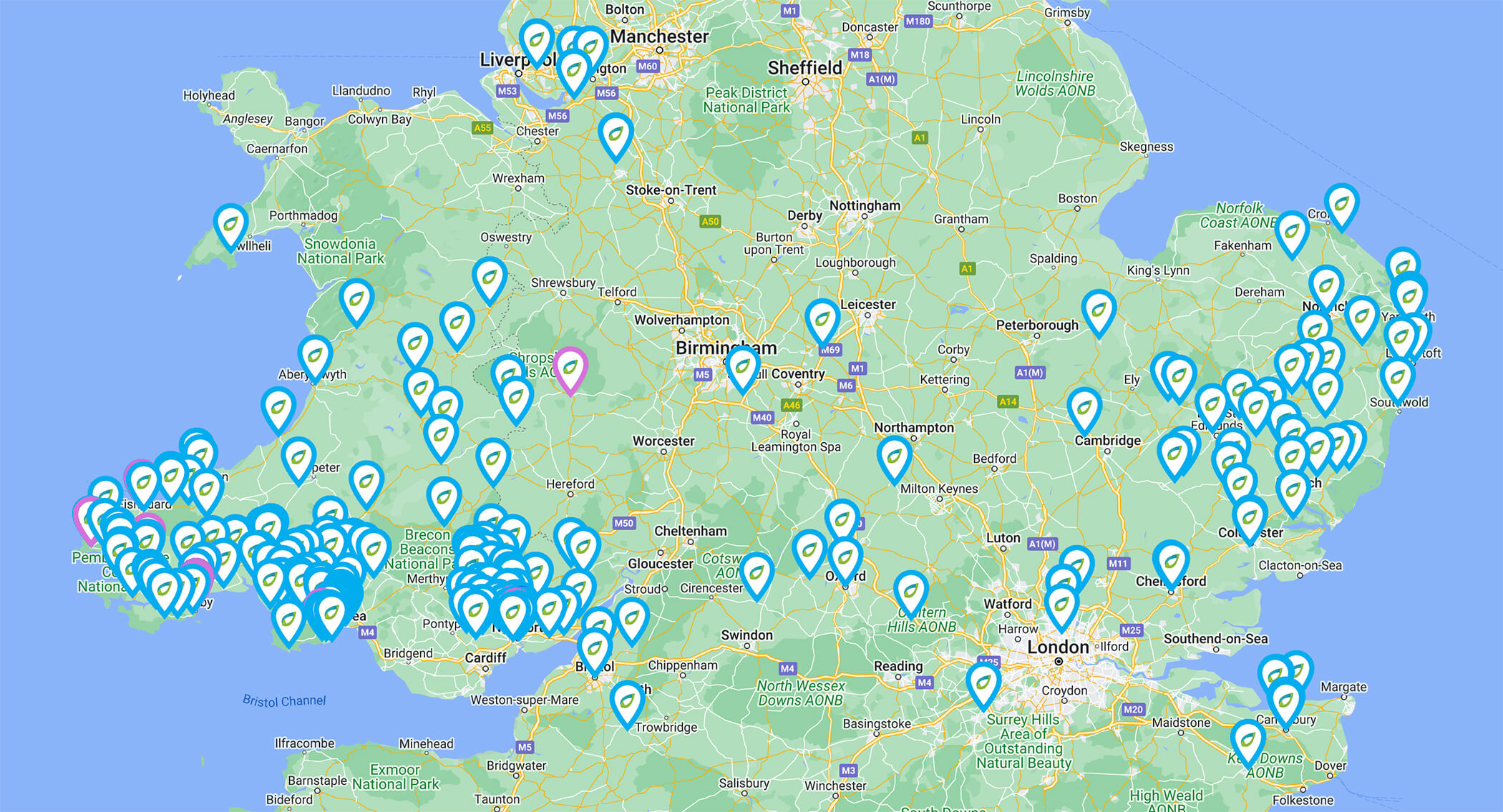 Clenergy EV: App Review and Charging Guide | Car Sloth