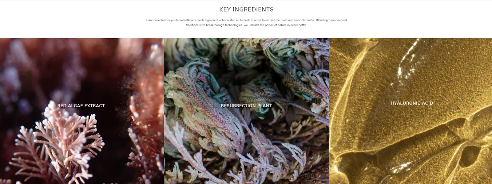 26 Amazing Product Page Design Examples in eCommerce (+ Expert Advice)