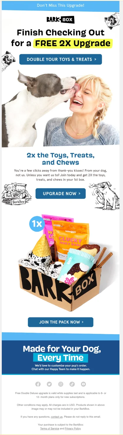 eCommerce Upsell Emails: High-converting Examples (+ Templates)