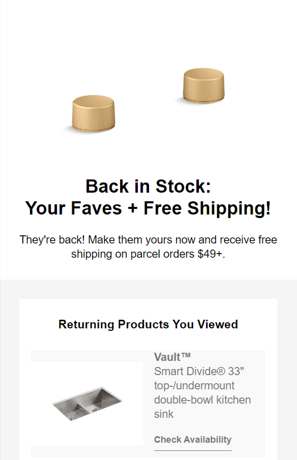 24 Best Back-In-Stock Email Examples (+Templates)