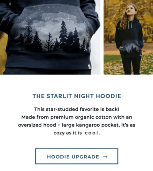 24 Best Back-In-Stock Email Examples (+Templates)