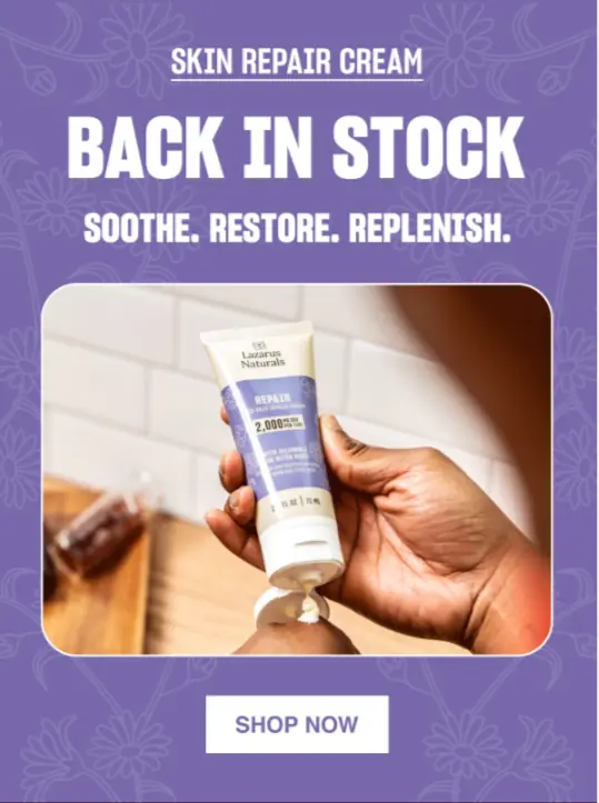 24 Best Back-In-Stock Email Examples (+Templates)