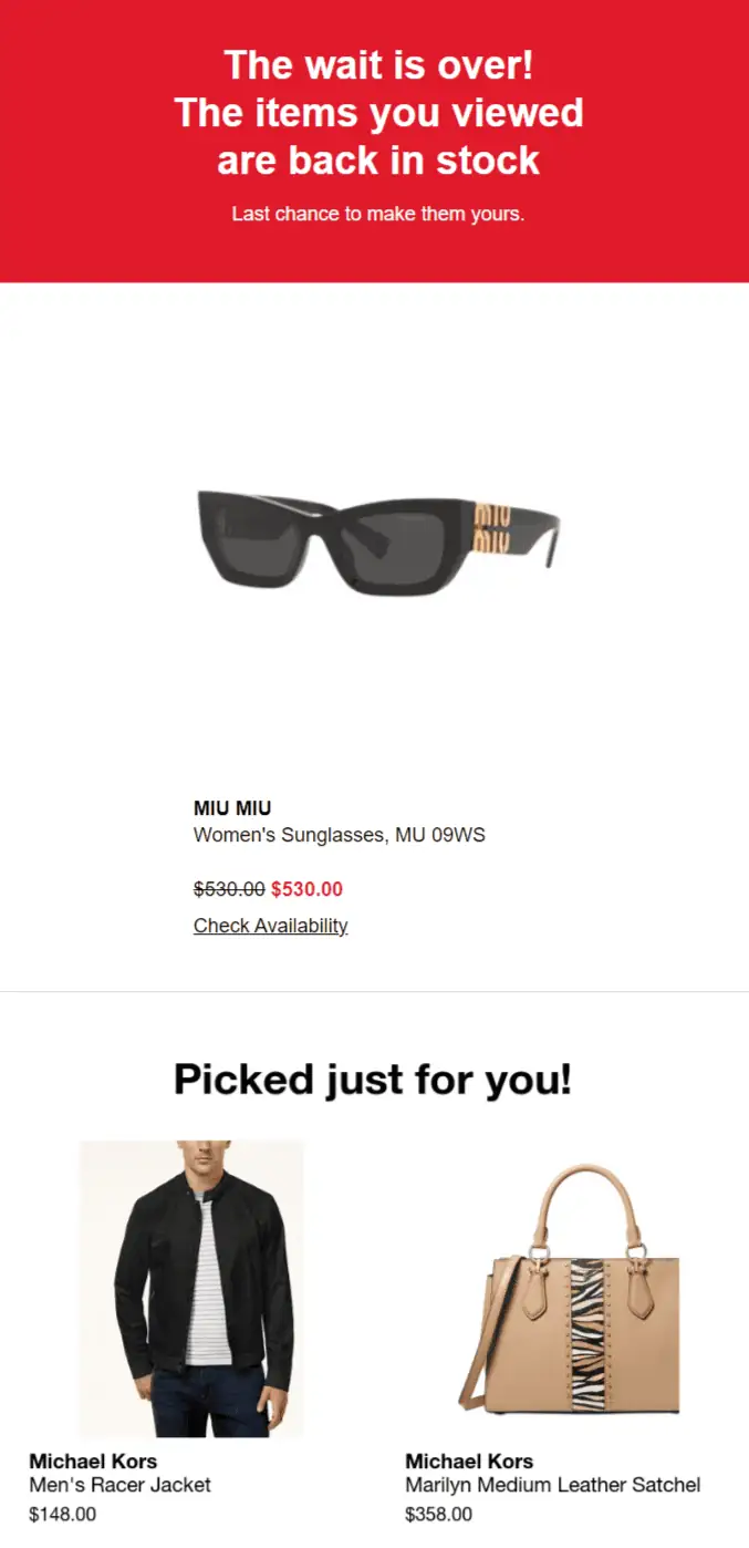 24 Best Back-In-Stock Email Examples (+Templates)