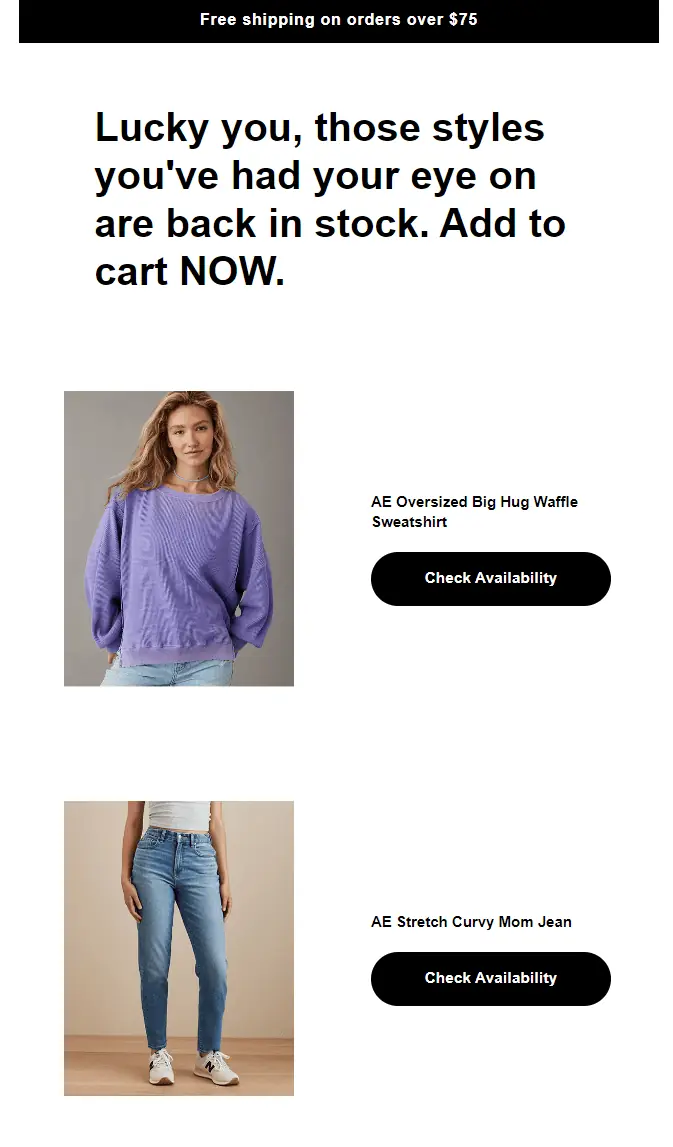 24 Best Back-In-Stock Email Examples (+Templates)