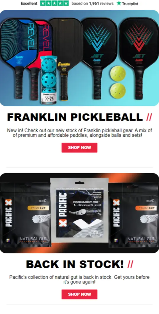 24 Best Back-In-Stock Email Examples (+Templates)