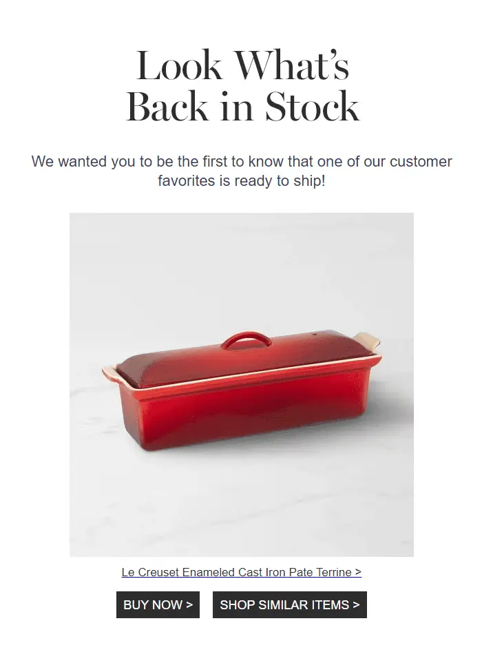24 Best Back-In-Stock Email Examples (+Templates)