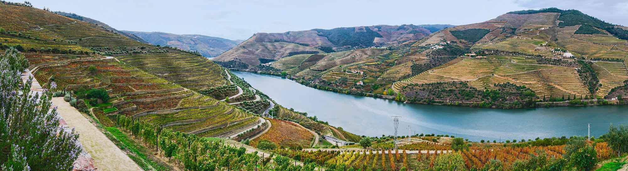 Douro River Cruises | GoRiverCruise