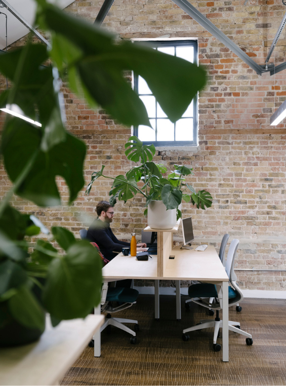 Patch | Coworking, offices and community