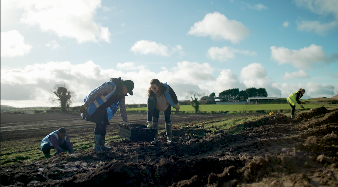 Gleaning with FoodCloud