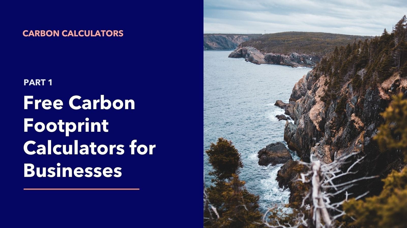 Free Carbon Footprint Calculators for Businesses: An Overview ...