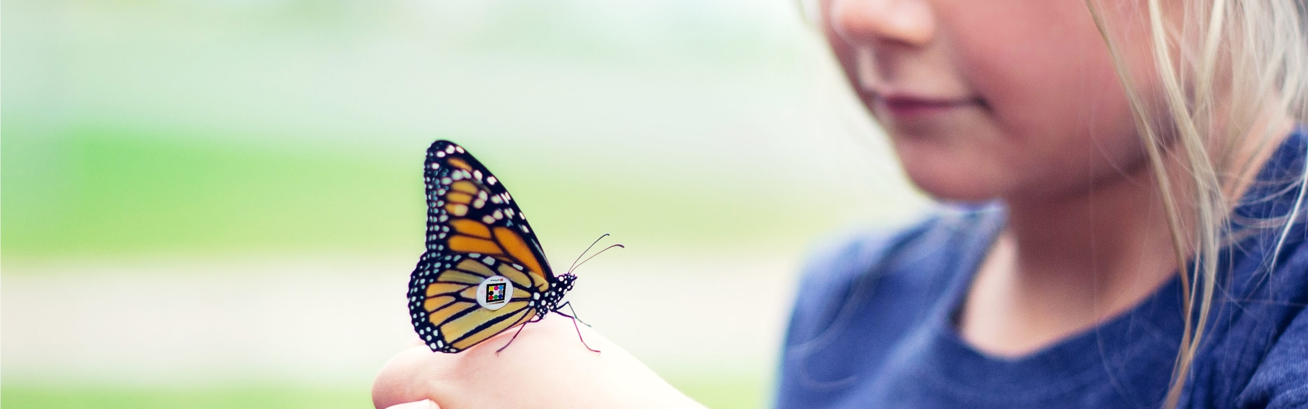 SCARLETRED - Epidermolysis bullosa - How does remote wound care in rare ...