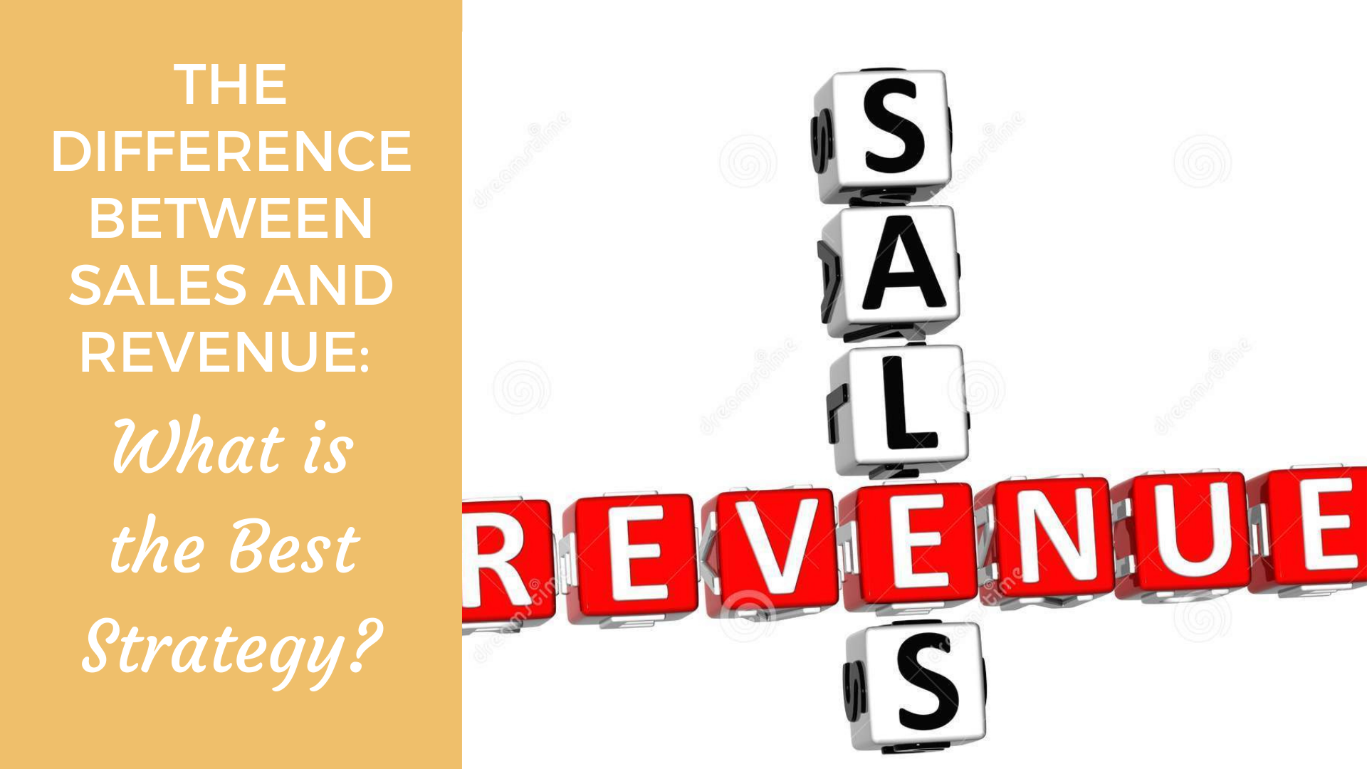 The Difference Between Sales and Revenue: What is the Best Strategy?