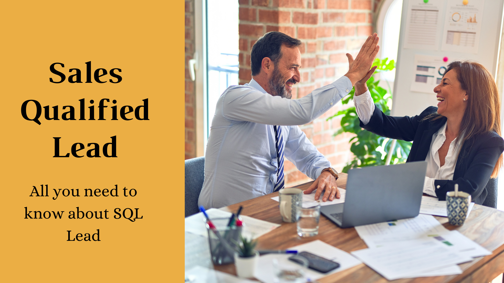 SQL Lead: All You Need To Know About Sales Qualified Lead