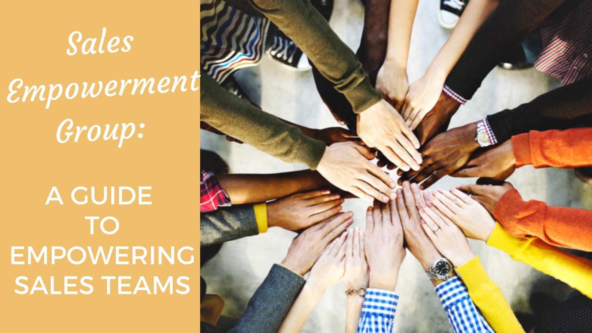 Sales Empowerment Group: A Guide to Empowering Sales Teams