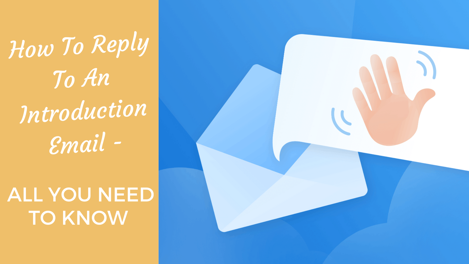 How To Reply To An Introduction Email - All You Need To Know