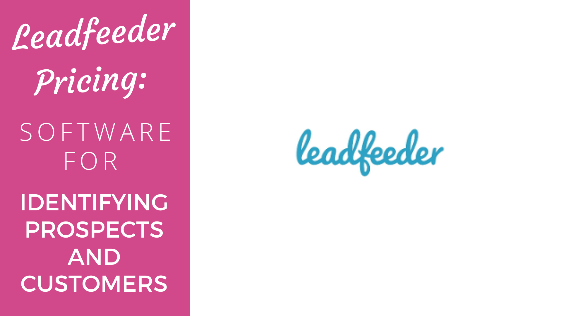 Leadfeeder Pricing: Software for Identifying Prospects and Customers