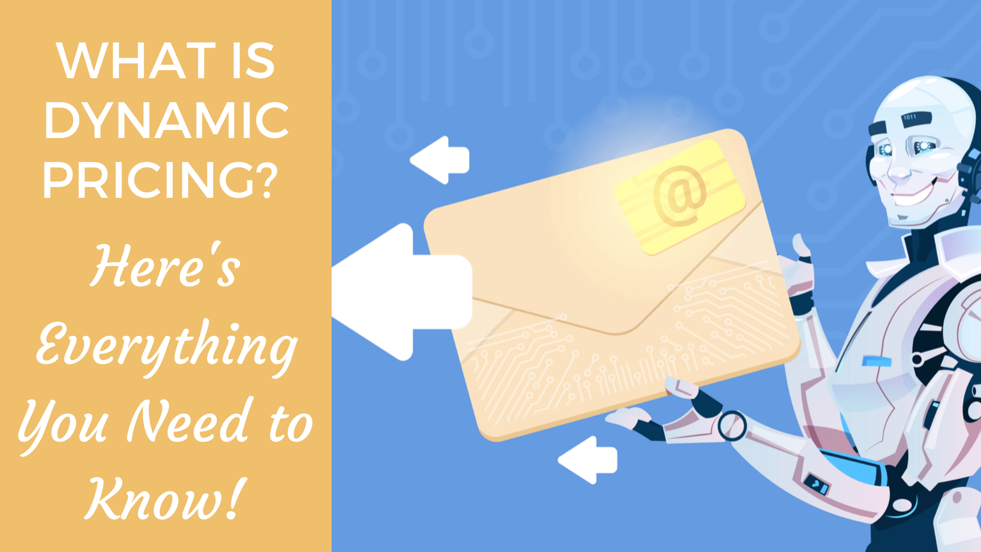 What is Dynamic Pricing? Here's Everything You Need to Know!