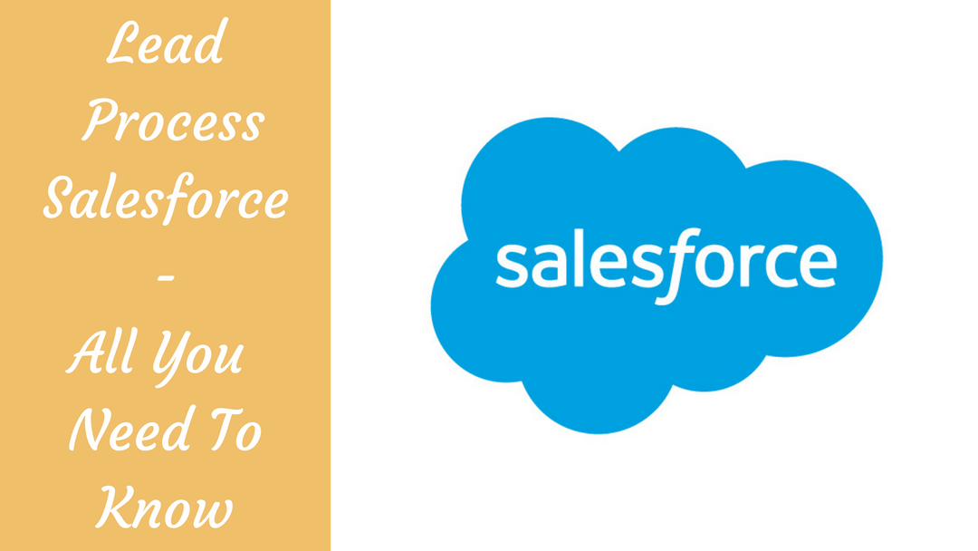 Lead Process Salesforce - All You Need To Know