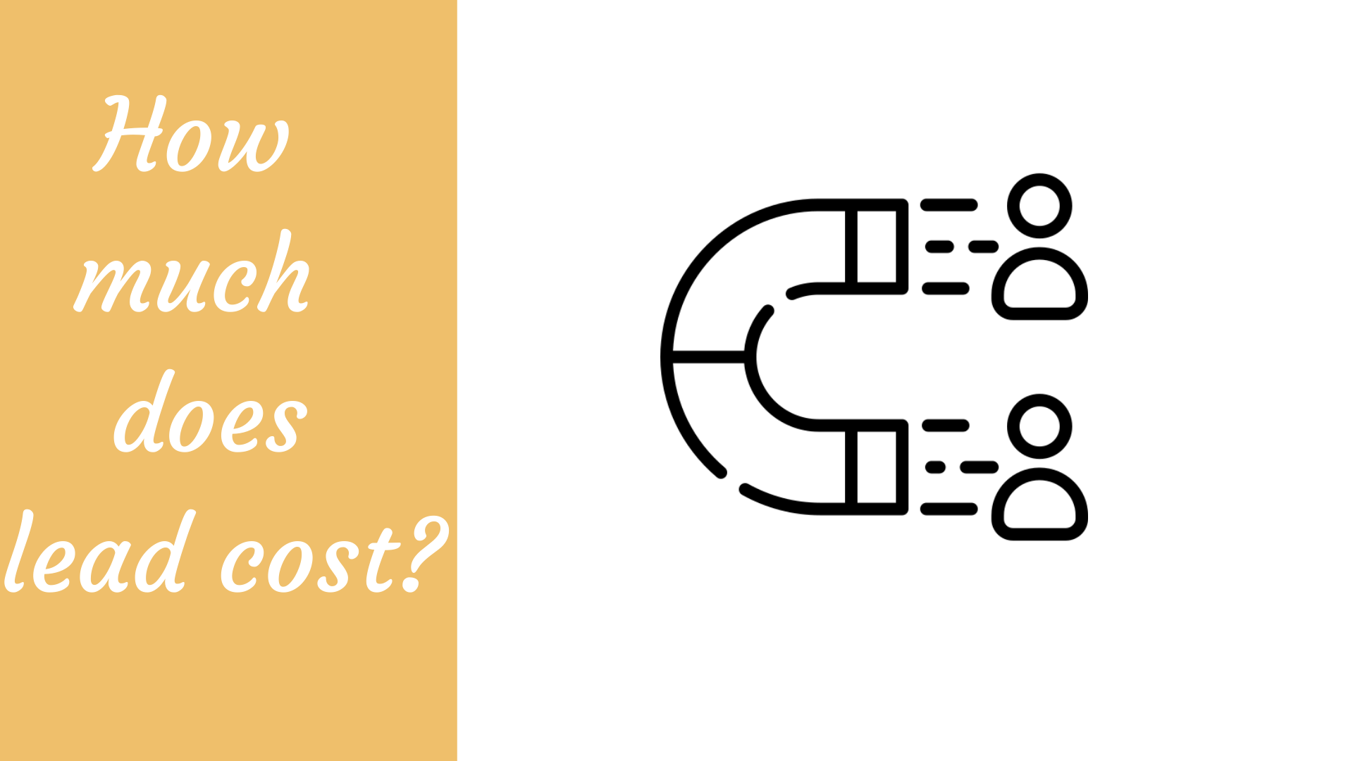 How Much Does Lead Cost?