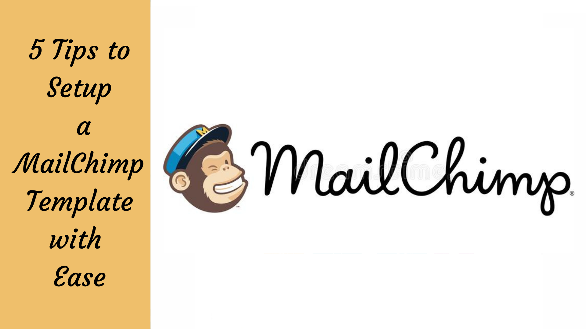 5 Tips To Setup A Mailchimp Template With Ease