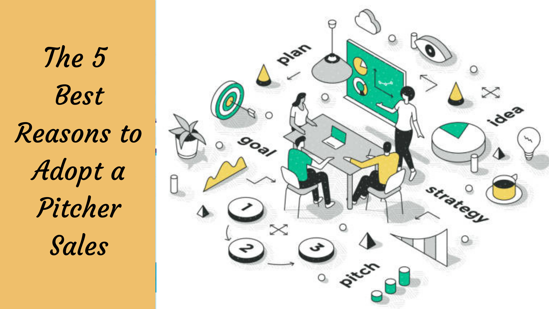 The 5 Best Reasons To Adopt A Pitcher Sales