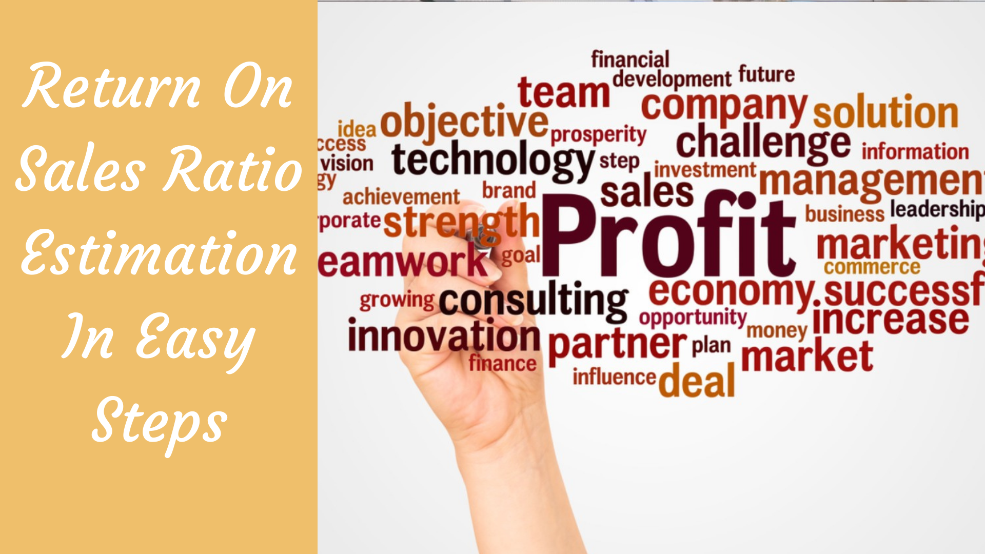 Return On Sales Ratio Estimation In Easy Steps