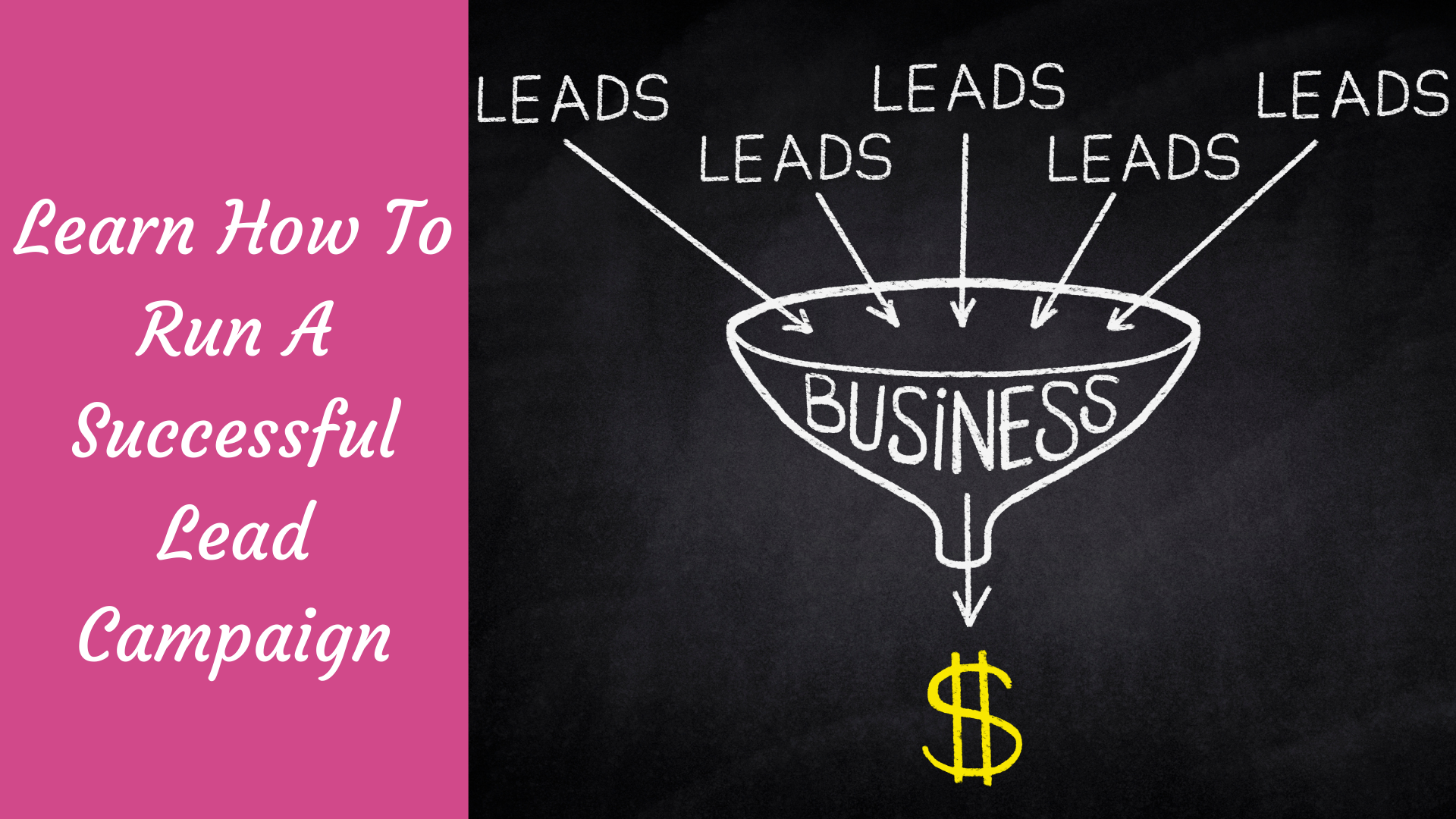 Learn How To Run A Successful Lead Campaign