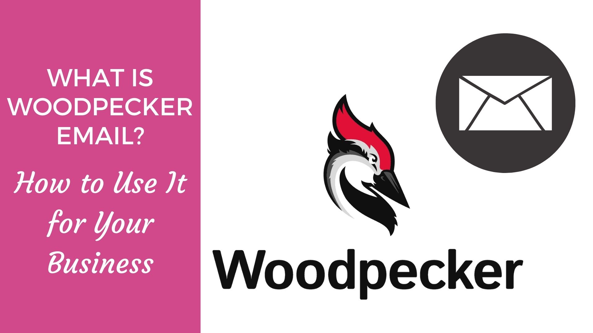 What is Woodpecker Email? How to Use It for Your Business