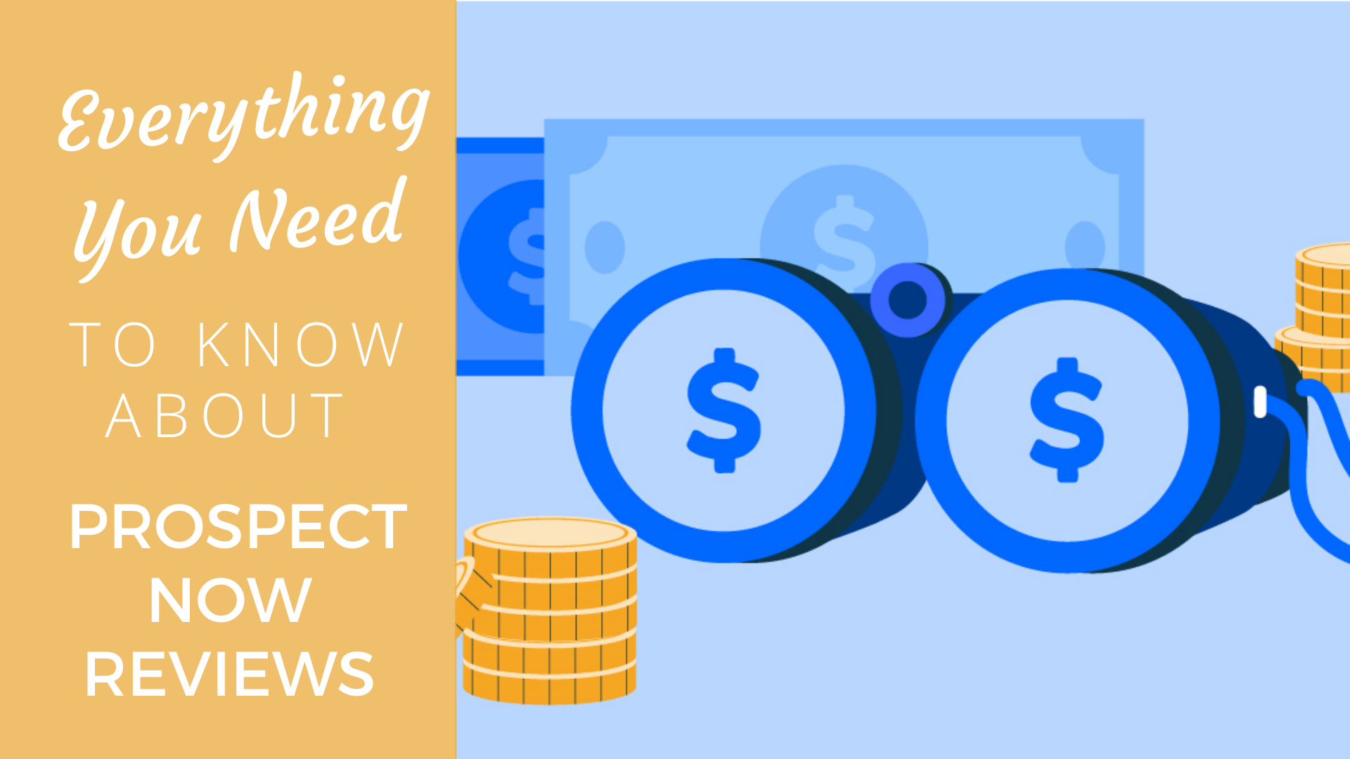 Everything You Need To Know About Prospect Now Reviews