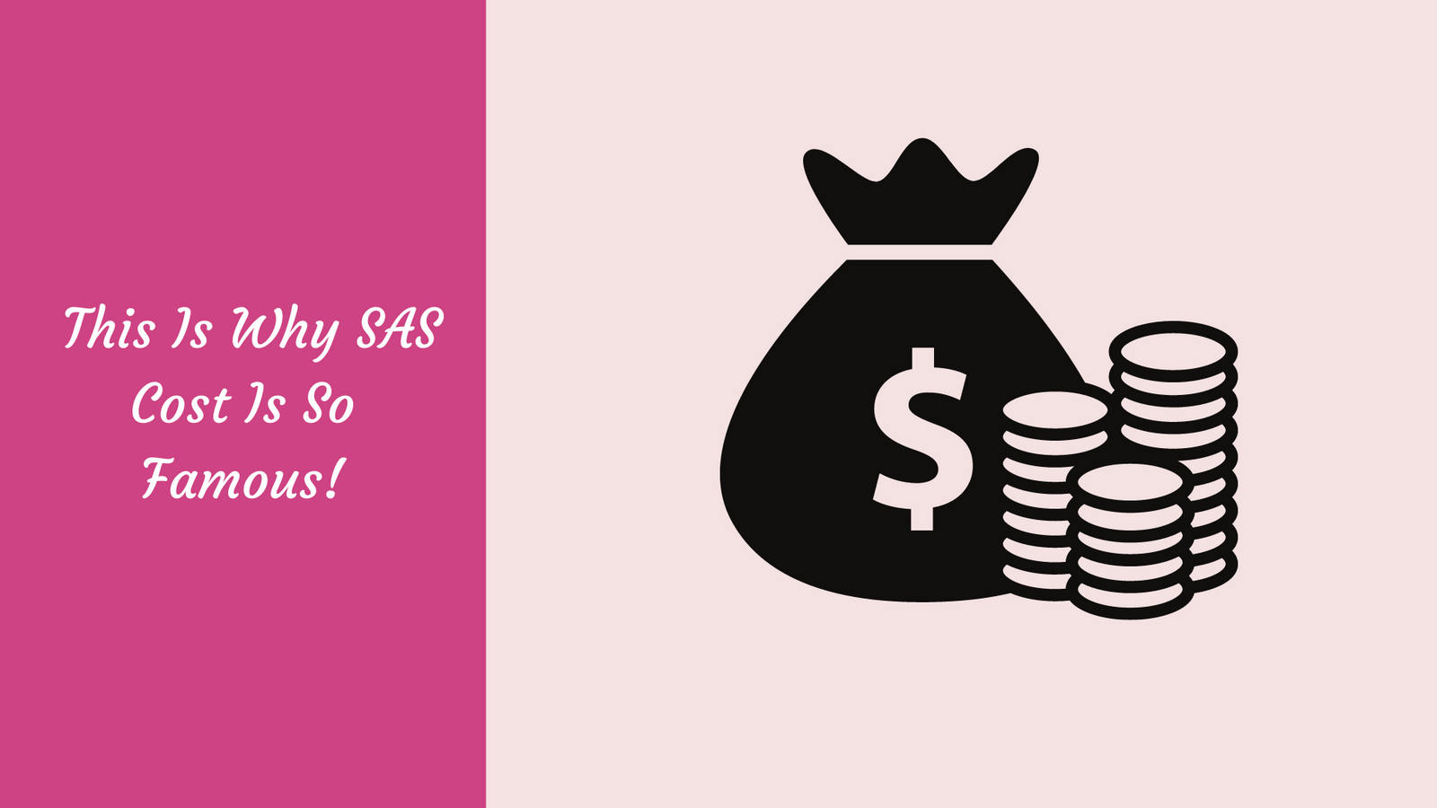 This Is Why SAS Cost Is So Famous!