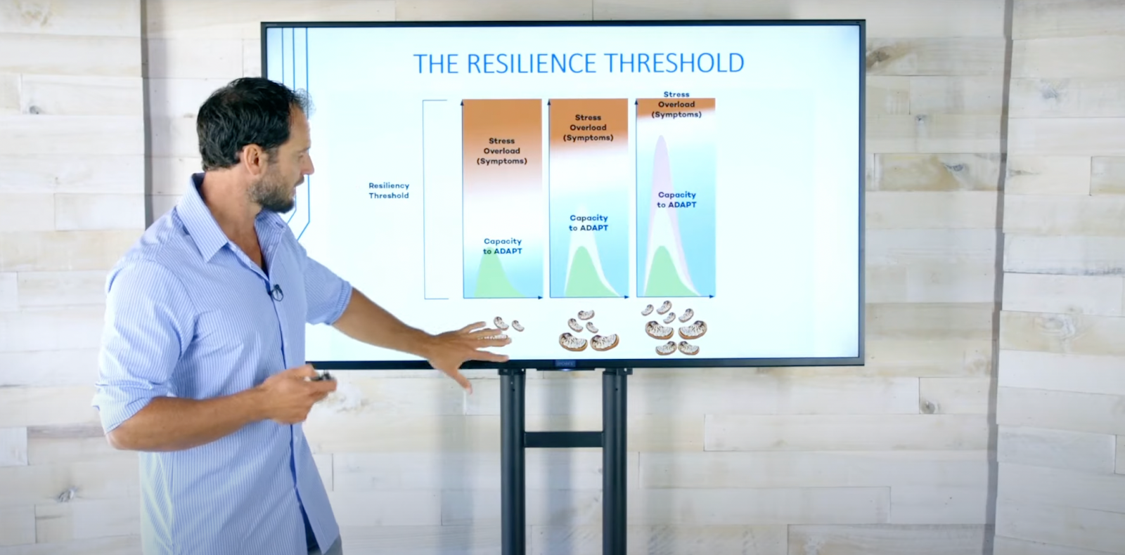 4 best time management & productivity programs for solos and teams of ...