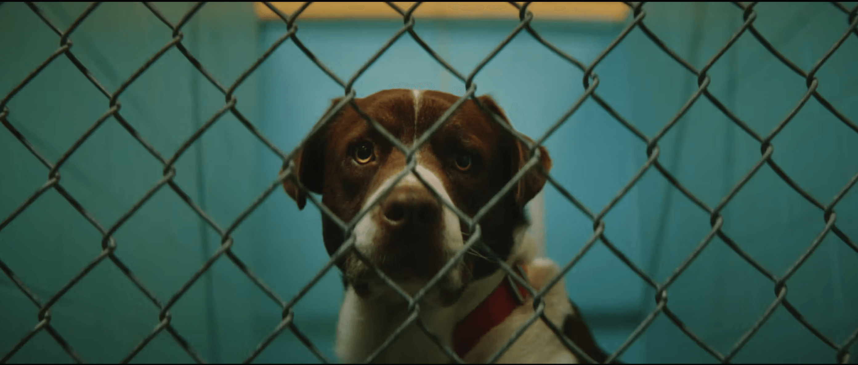 Film | Rescue Relay, Valero by Lisa Gunning | IAM Image Film Production