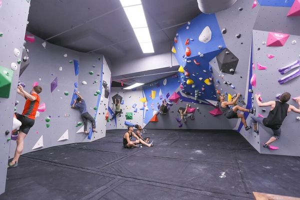 Rock Climbing in New York City | Surf Office