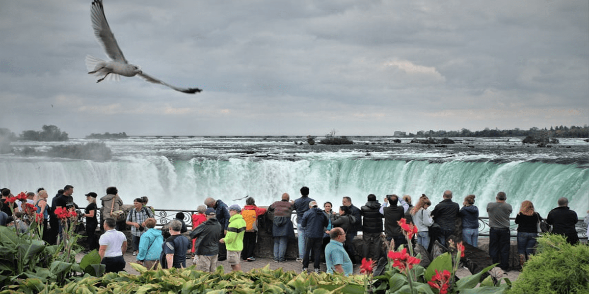 10 Best team building activities in Buffalo (Niagara Falls), New York ...