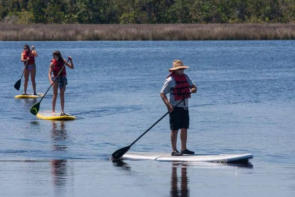 Paintball in Jacksonville | Surf Office