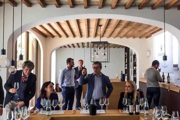 Bike Tour in Palermo | Surf Office