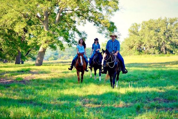 A wild offsite retreat in Austin | Surf Office