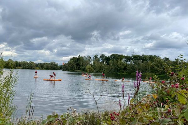 Segway Tour in Cologne | Surf Office