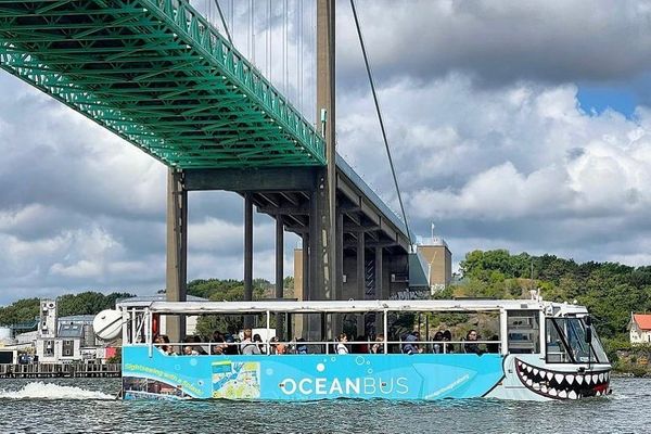 Amphibious Bus in Gothenburg | Surf Office