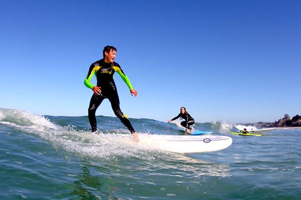 Tree Top Adventure in Santa Cruz | Surf Office