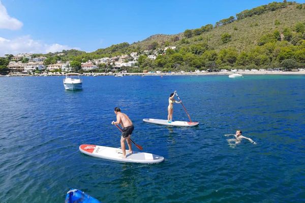 Tree Top Adventure in Mallorca | Surf Office