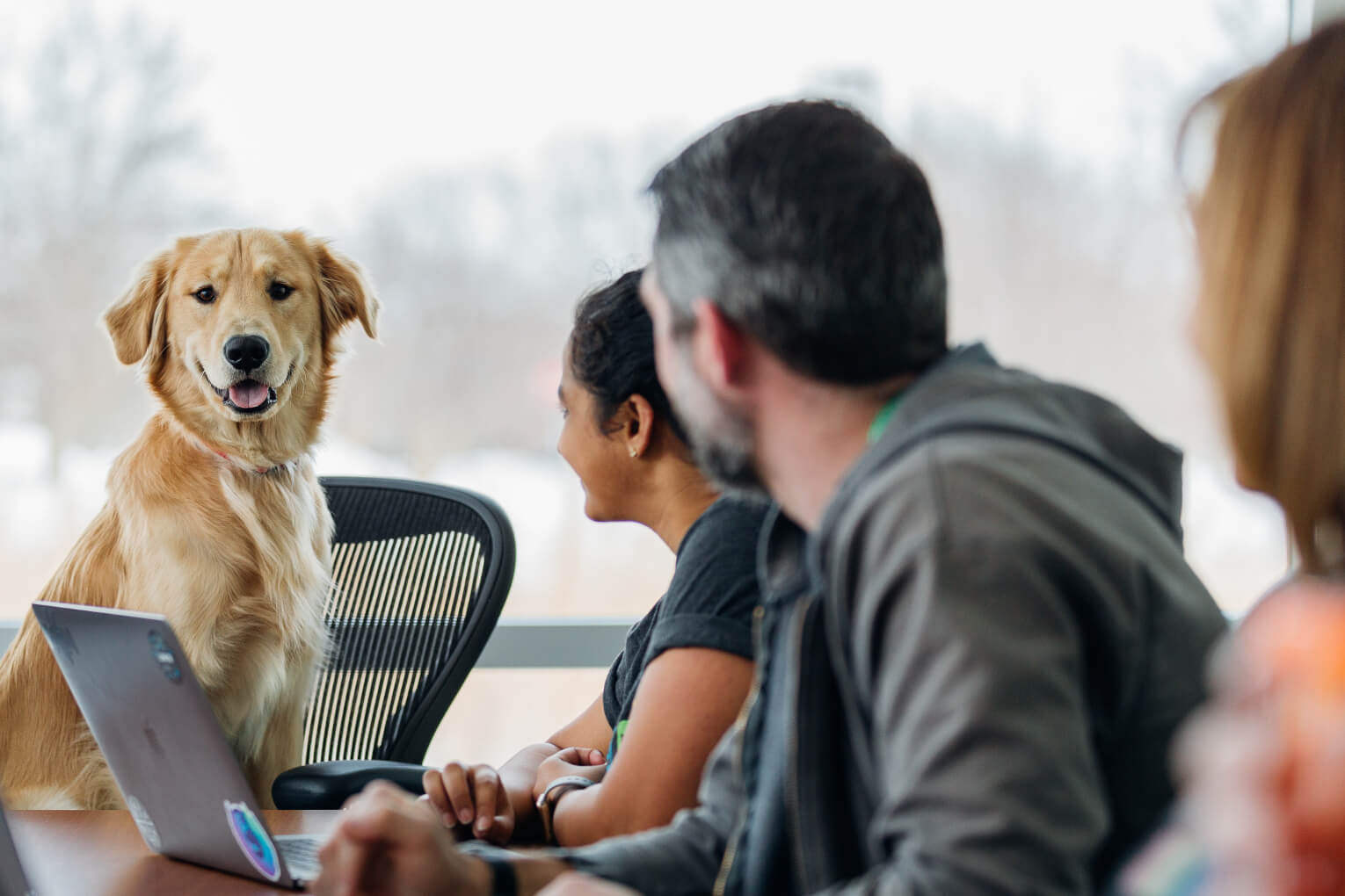 40 Employee benefits packages and perks | Surf Office